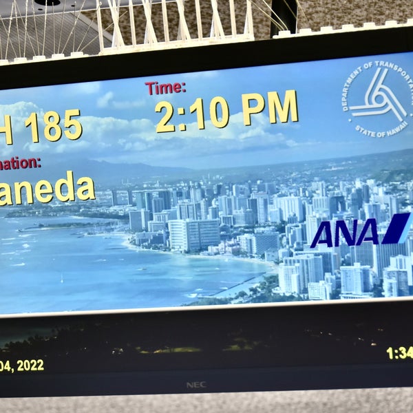 Gate C3 - Airport Gate in Hickham