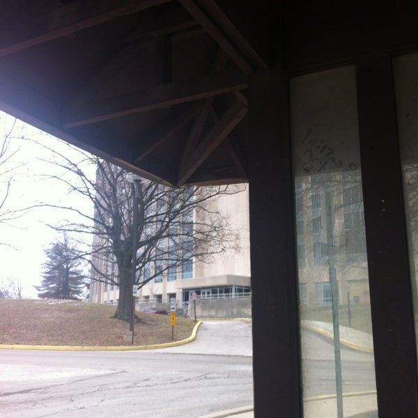 Bus Stop - Tulip Tree (Bloomington Transit) - Indiana University - 20 ...