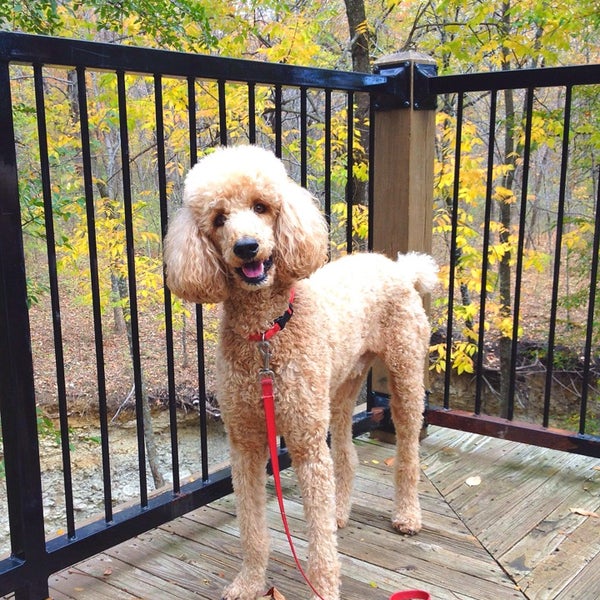 Dayspring Nature Preserve - Twin Creeks - 44 visitors