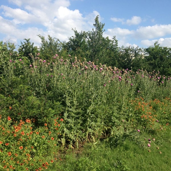 Dayspring Nature Preserve - Twin Creeks - 26 visitors