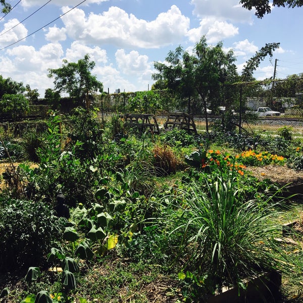 Photos at Marando Farms (Now Closed) - Poinciana Park - Fort Lauderdale, FL