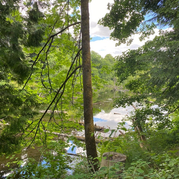 Reed College - Canyon - 4 tips