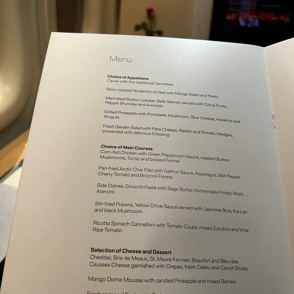 Lufthansa Flight LH 779 - Plane in Singapore