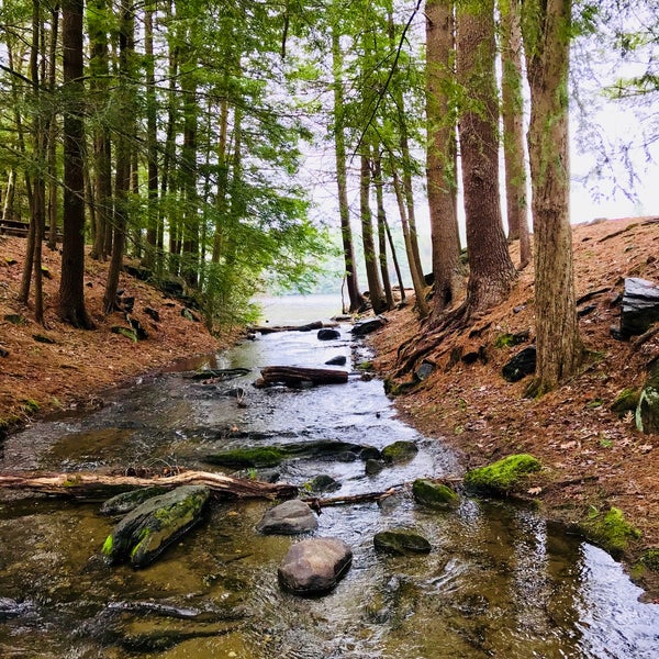 D.A.R. State Forest - 2 tips from 174 visitors
