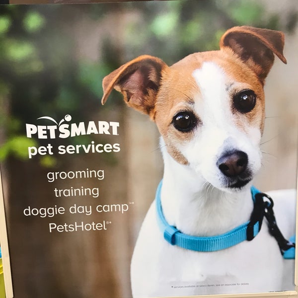 PetSmart - 1140 W Elliot Rd