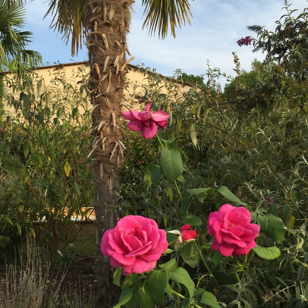 Camping Domaine de Merlanes - Campground