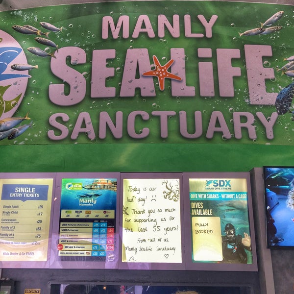 Manly Sea Life Sanctuary - 18 tips from 1026 visitors
