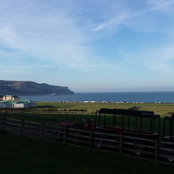 Bodafon Farm Park - Farm in Llandudno