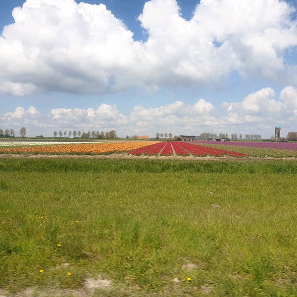 Stellendam - Village