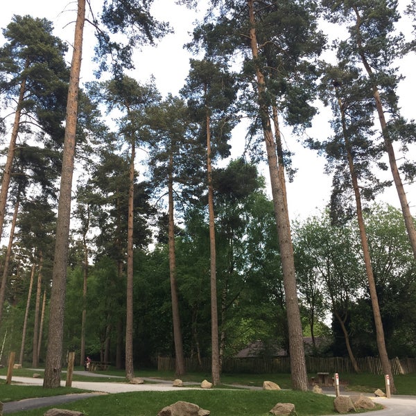 Birches Valley Forestry Centre - 8 tips from 229 visitors