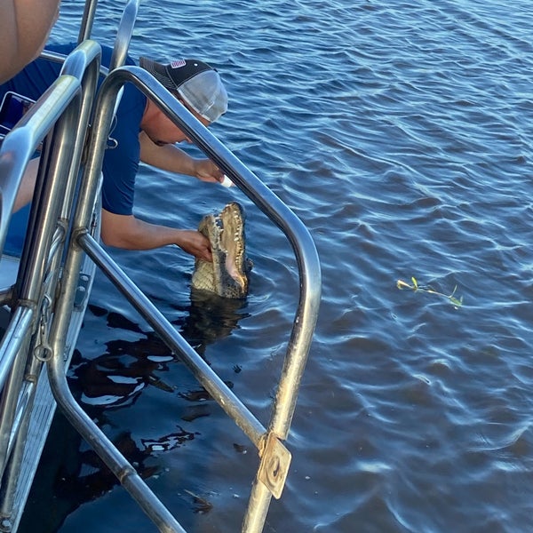 Ultimate Swamp Adventures - 6 tips from 561 visitors