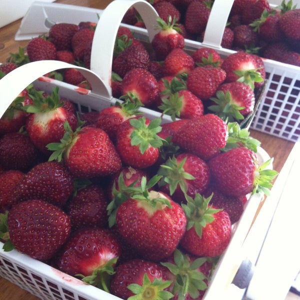 Becker's Berry Patch - Farm