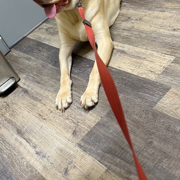 Light St. Animal Hospital - Veterinarian in SBIC - West Federal Hill