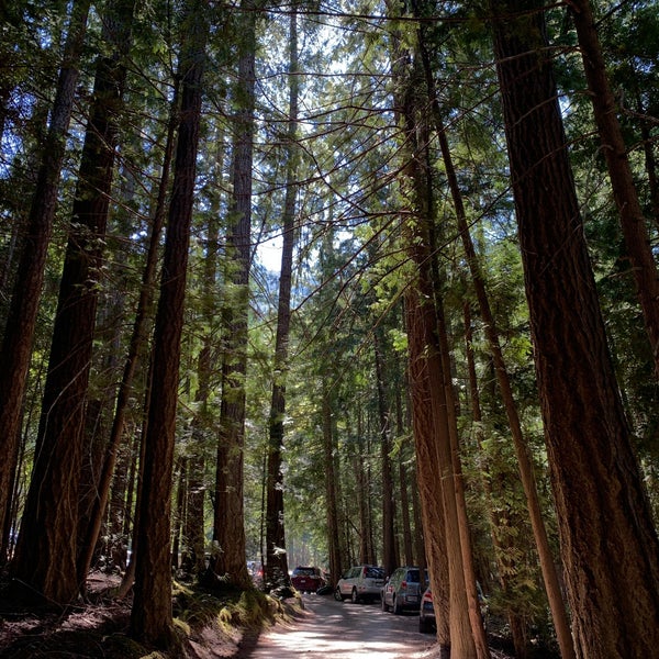 Cameron Lake - Cameron Lake - Pacific Rim Hwy