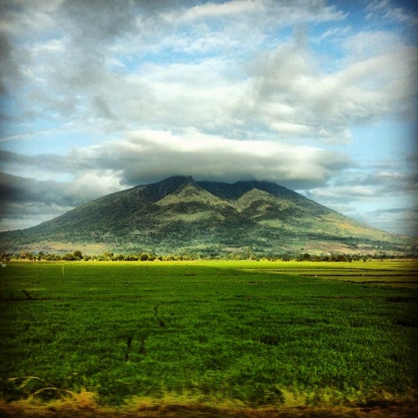 Bundok Arayat
