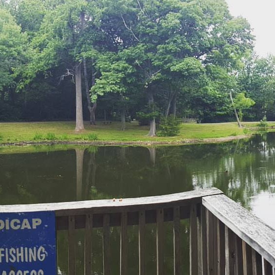 Photos at Endicott Park - Danvers, MA