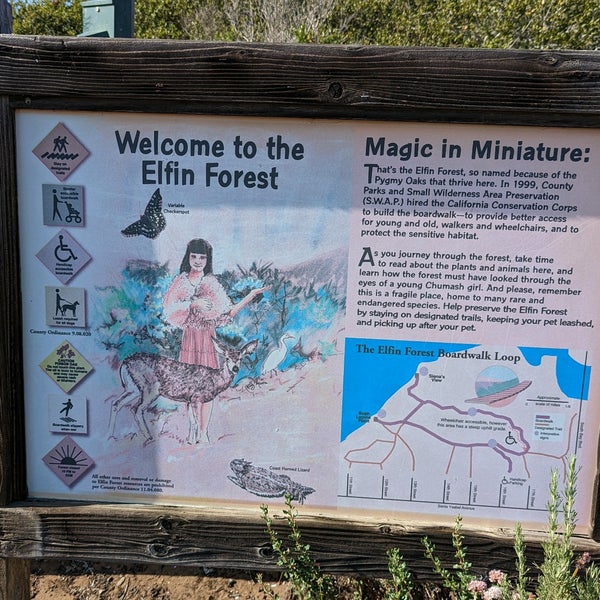 Elfin Forest - 5 tips from 257 visitors