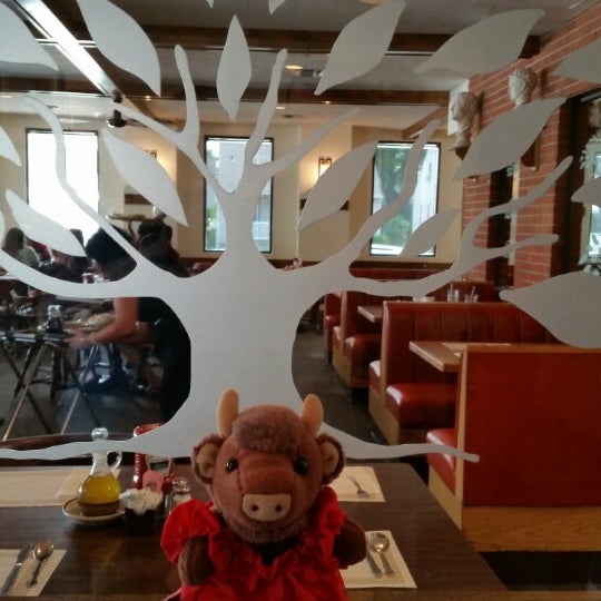 Family Tree Restaurant - Greek Restaurant