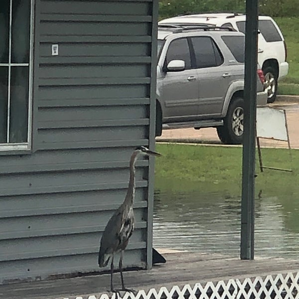 The Oasis at Joe Pool Lake - Grand Prairie, TX