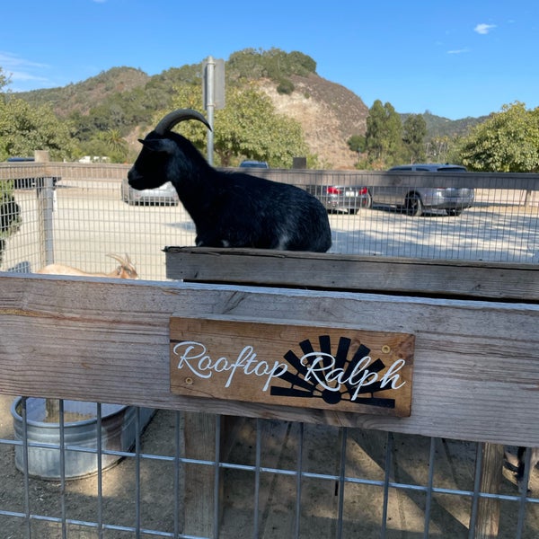 Avila Valley Barn - Farm