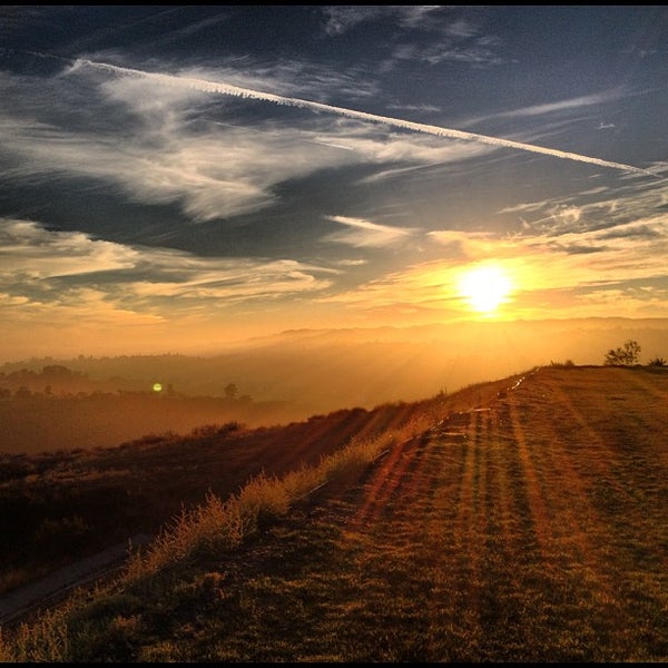 Benedict Canyon - Other Great Outdoors in The Hills
