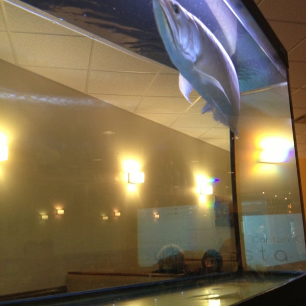 Canton Garden Restaurant - Chinese Restaurant in Clayton Park West