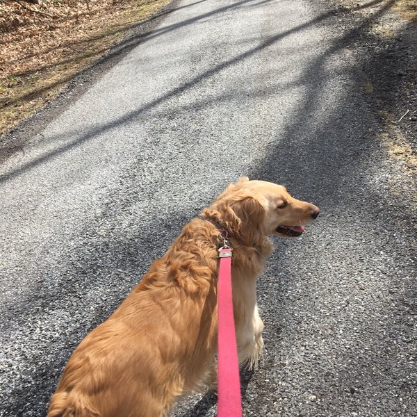 Struble Trail - Hiking Trail
