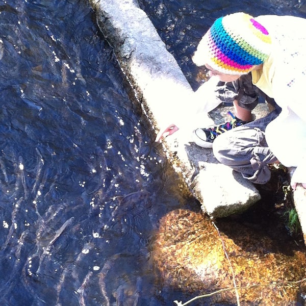 Herring Run - 3 tips from 132 visitors