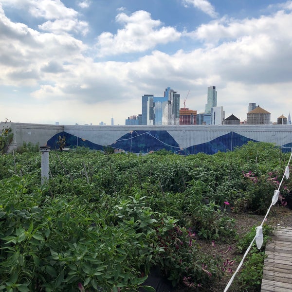 Brooklyn Grange Rooftop Farm Award Winning And Innovative Rooftop