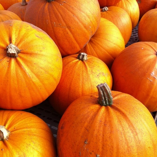 Kenyon Hall Farm - 7 tips