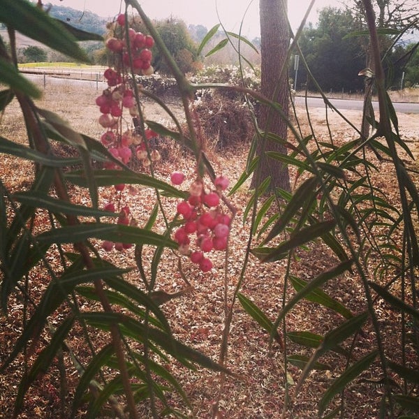 Alisal Ranch Golf Course - Golf Course in Solvang