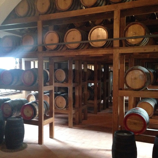 Avignonesi Winery - Vineyard