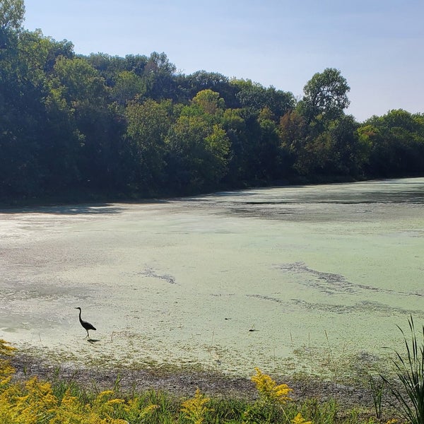 Blackhawk Park - 4 tips