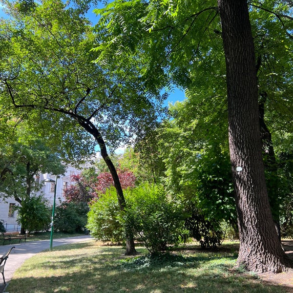 Rathauspark - Park in Schottenviertel