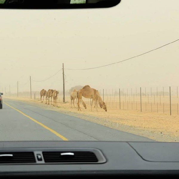 Abqaiq Highway, Opp Second Industrail City behind Tashelat Petrol ...