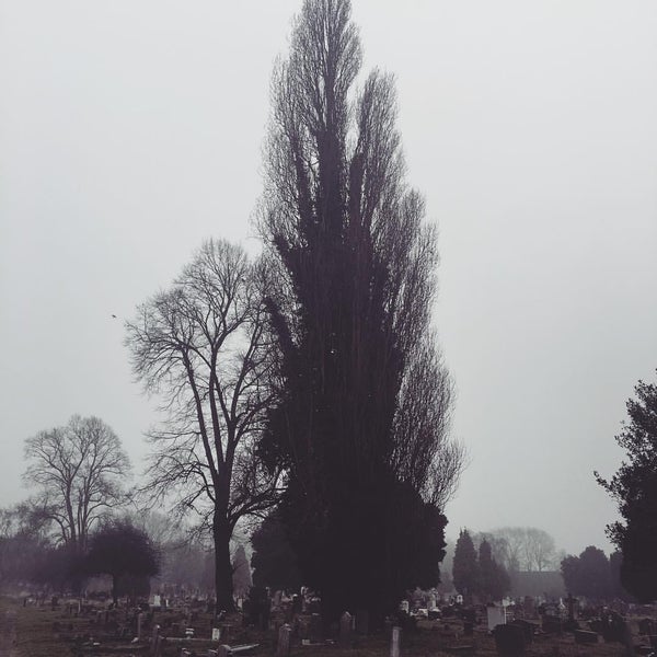 Kingston Cemetery and Crematorium - Bonner Hill Rd