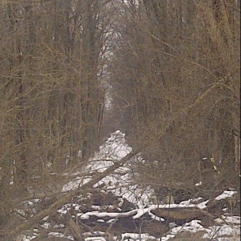 Bender Junction (Former Lehigh & New England Train Station) MP 45.6 ...