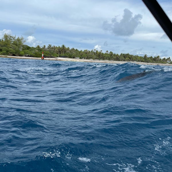 Tiputa Pass - 1 tip from 98 visitors