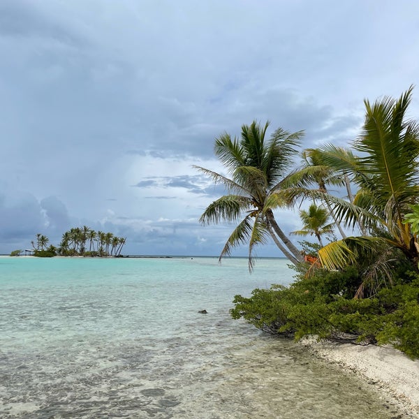 TOPDIVE Rangiroa - Dive Spot