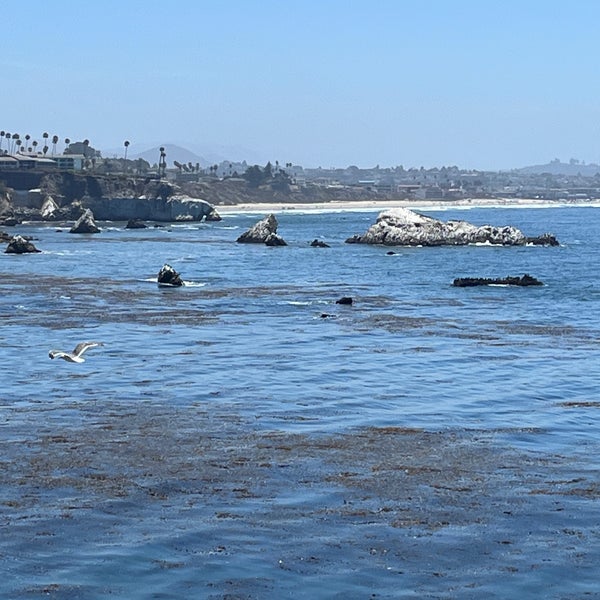 Shell Beach - Neighborhood in Pismo Beach