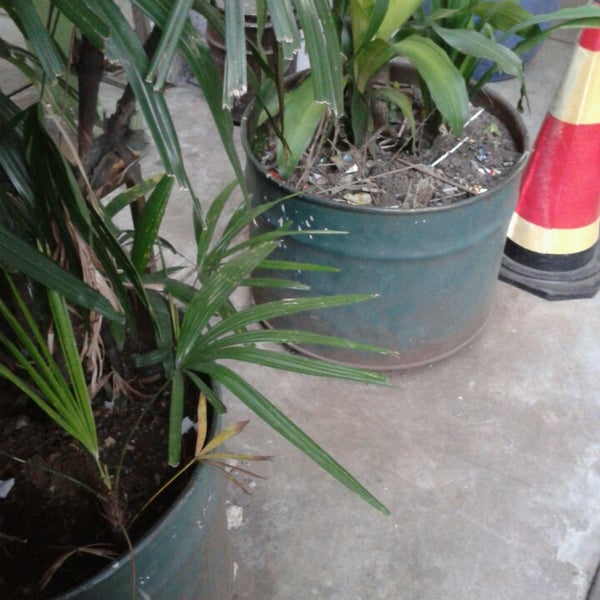 SDK-SMPK-SMAK Gamaliel - Education