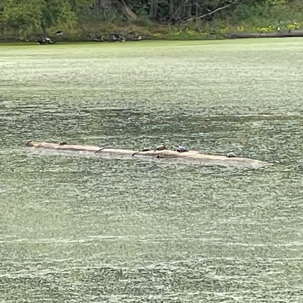 Photos at Eastman Nature Center - Maple Grove, MN