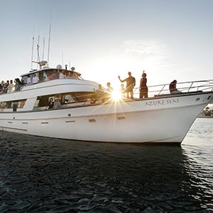 Celebration Cruises Santa Barbara - Boat or Ferry in Santa Barbara