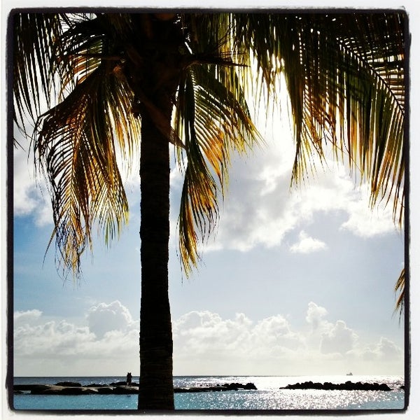 Photos at Seaquarium Beach - 3 tips from 108 visitors