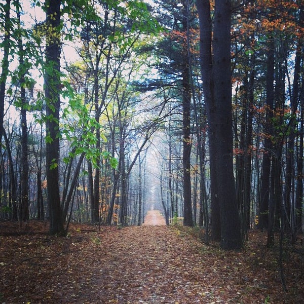 Racebrook Tract - Trail in Orange