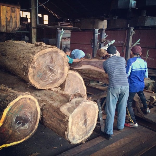 Ubinkayu Production Facilities - Factory