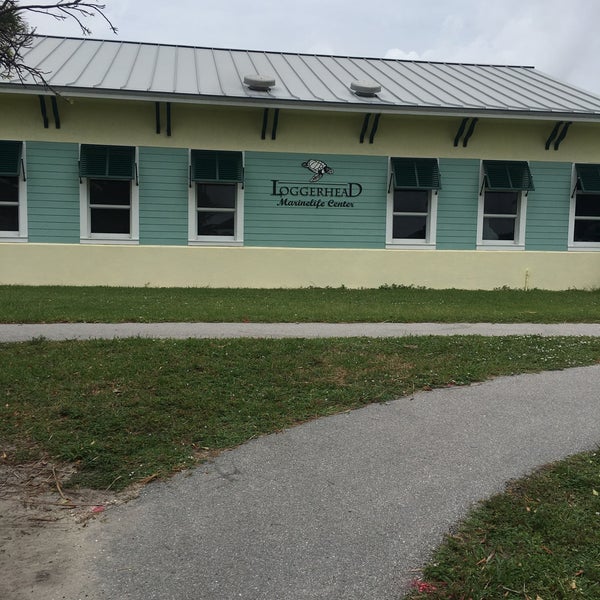 Loggerhead Park - 4 tips