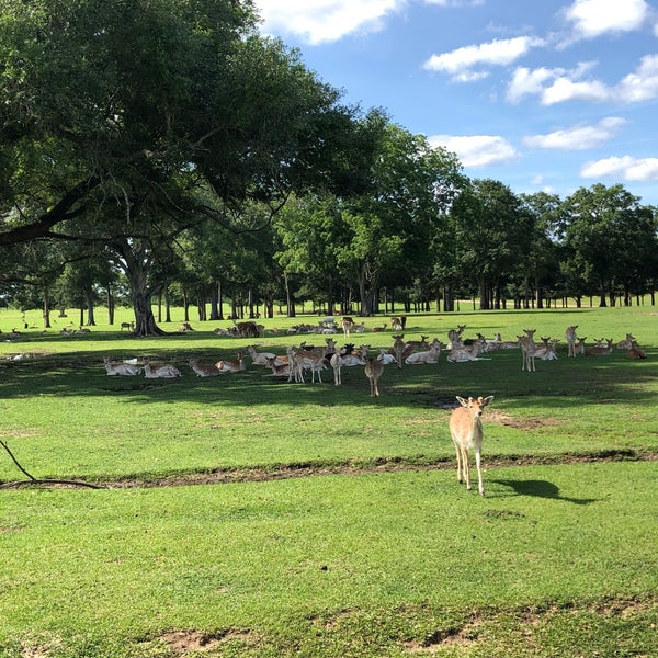 Global Wildlife Center - 16 tips from 614 visitors