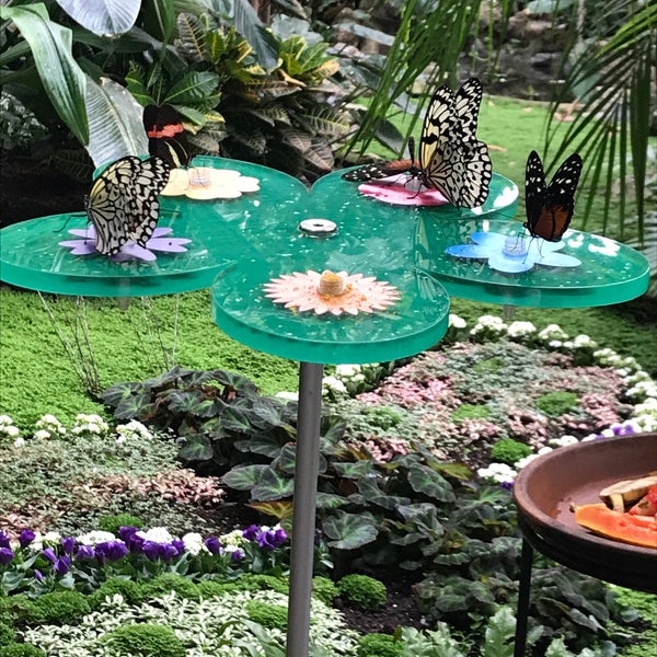 Photos at Vlindertuin - Zoo Exhibit in Antwerpen