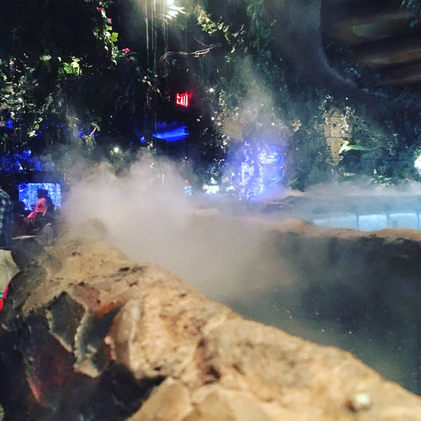 Photos at Rainforest Cafe - Sawgrass Mills - 59 tips